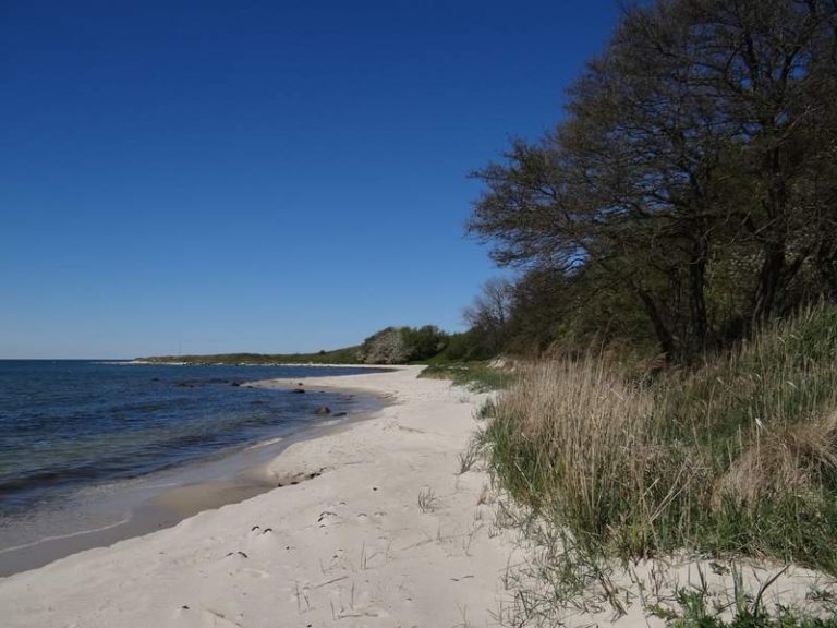 Boderne – Strandguide.dk